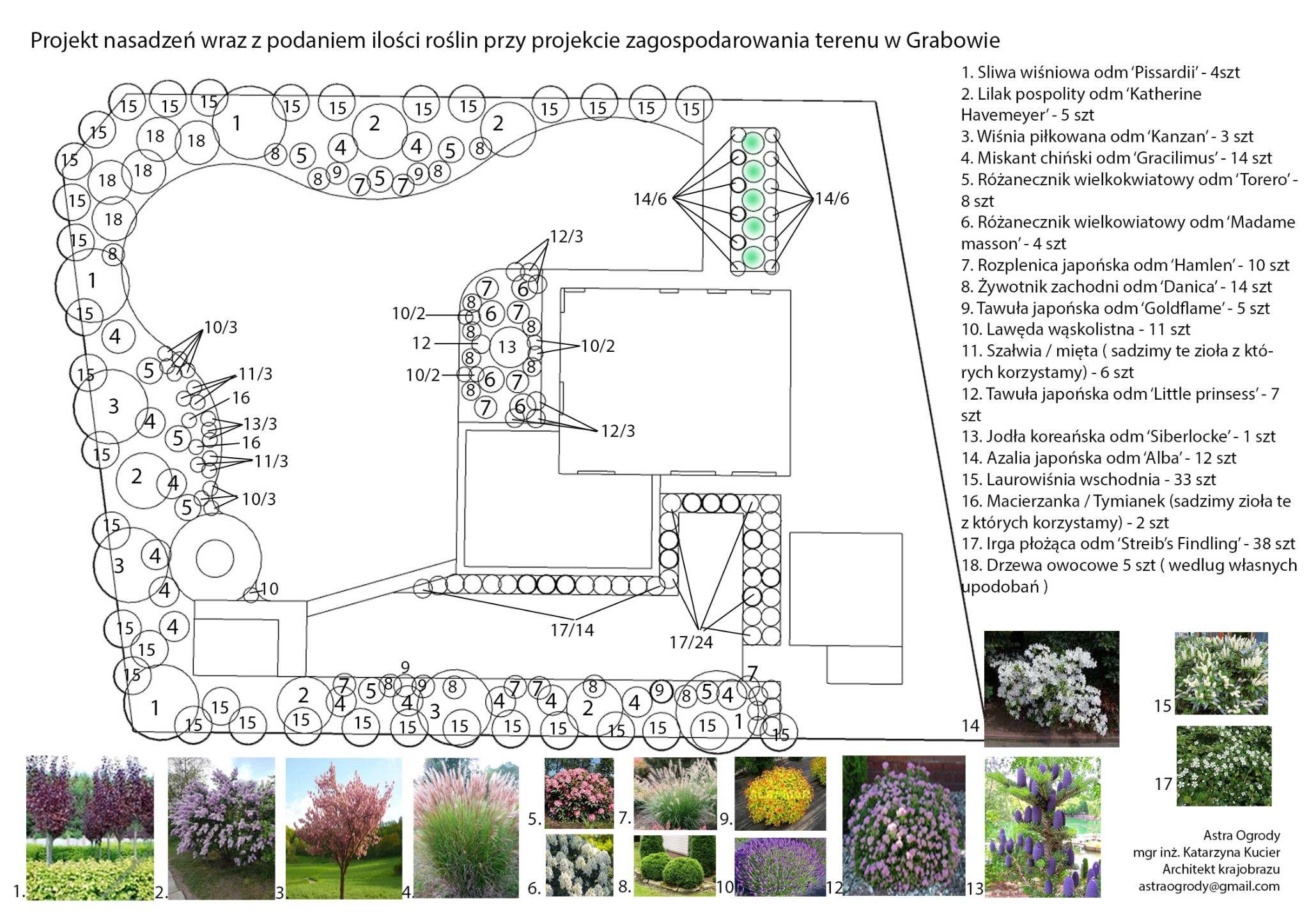 Projekt ogrodu 2D (rzuty techniczne i opisy) Projekt ogrodu 3D ...